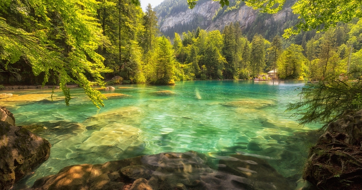 Le Blausee et ses filets de truite | Buchard Voyages